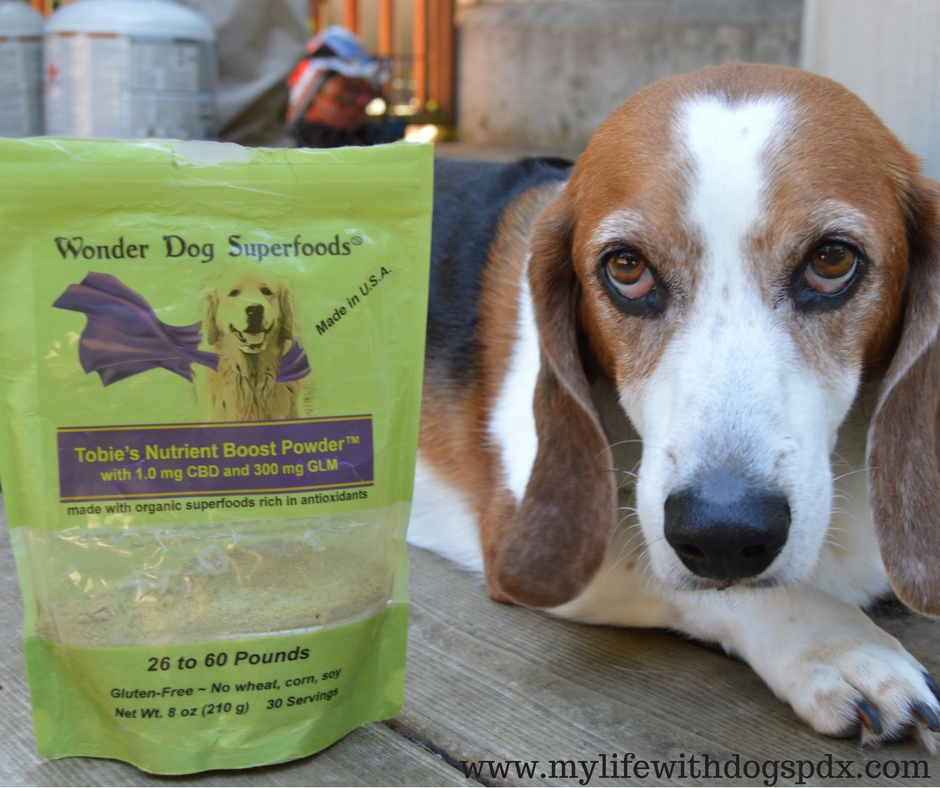 A Q&A with Wonder Dog Superfoods: Why Cannabidiol - Wag and Cluck - Wag ...