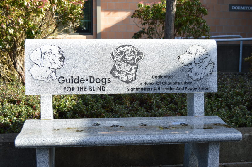 Guide Dogs for the Blind: A Campus Visit - Wag and Cluck - Wag and Cluck