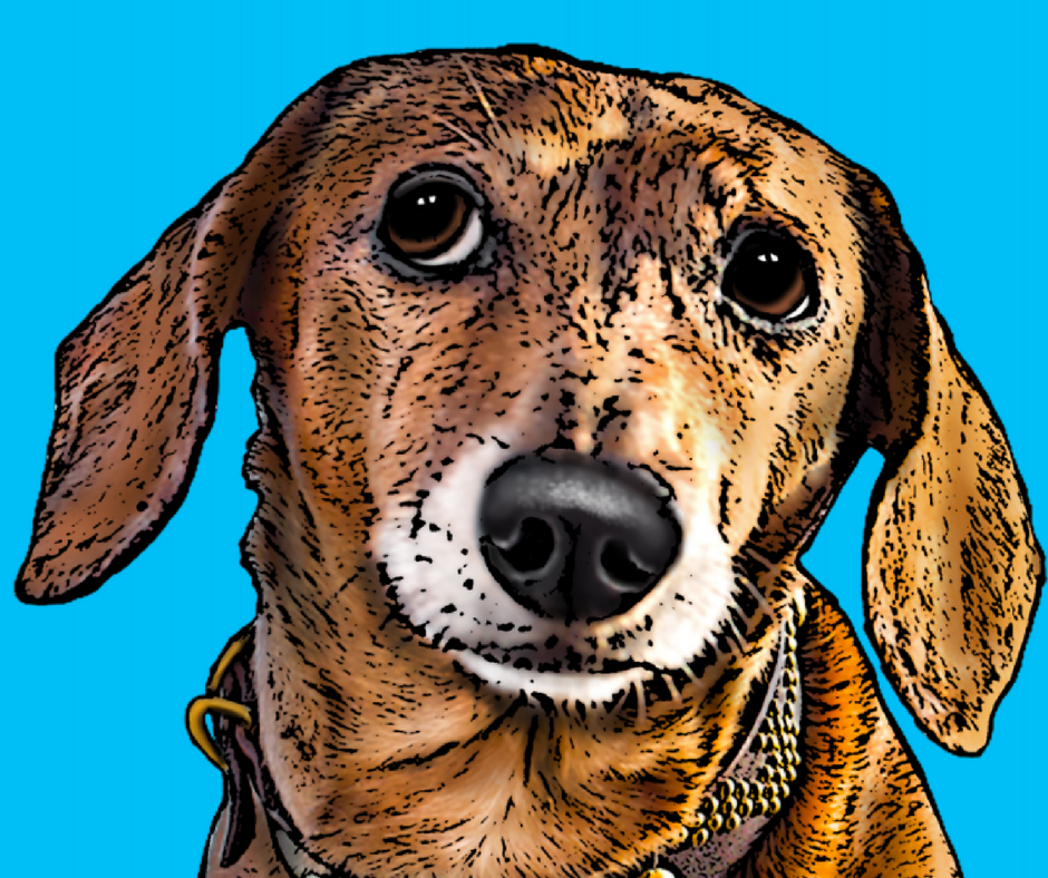 Pop Your Pup: Super Cute Human “Dog” Gear #ad - Wag and Cluck - Wag and ...