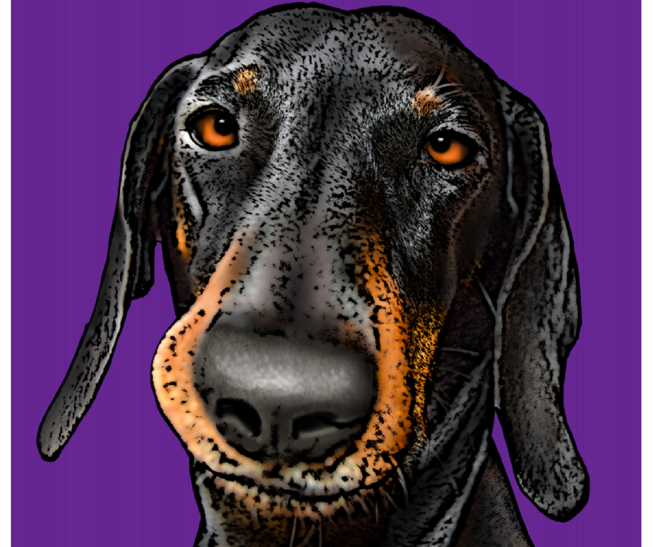 Pop Your Pup: Super Cute Human “Dog” Gear #ad - Wag and Cluck - Wag and ...