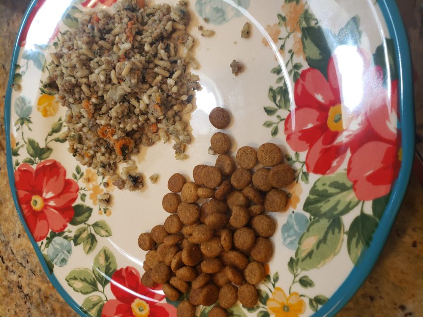 How To Transition Dogs To A New Diet - Wag and Cluck - Wag and Cluck